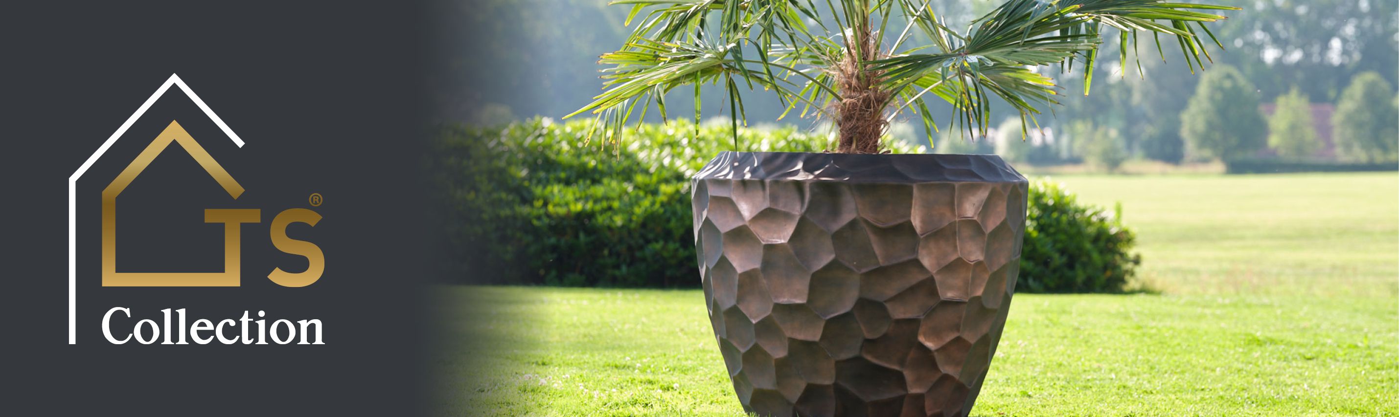 XL potten | True eyecatchers in every garden | Ter Steege