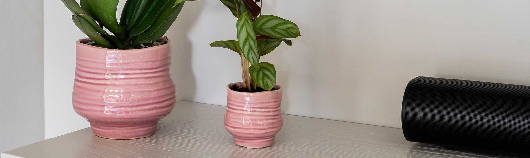 Indoor flower pots | Broad and complete range | Ter Steege