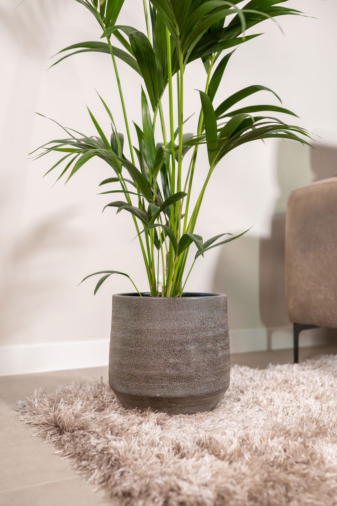 Wholesale webshop flower pots | Ter Steege